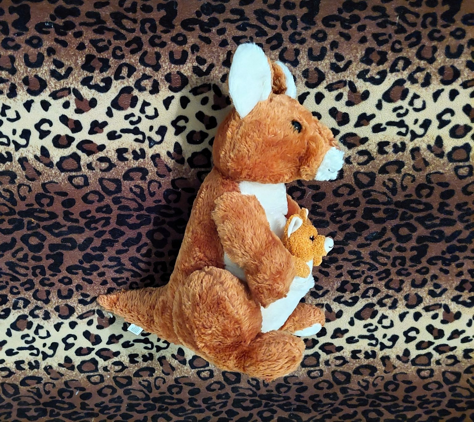 Goffa Kangaroo (For Sale) – HawtFur.com