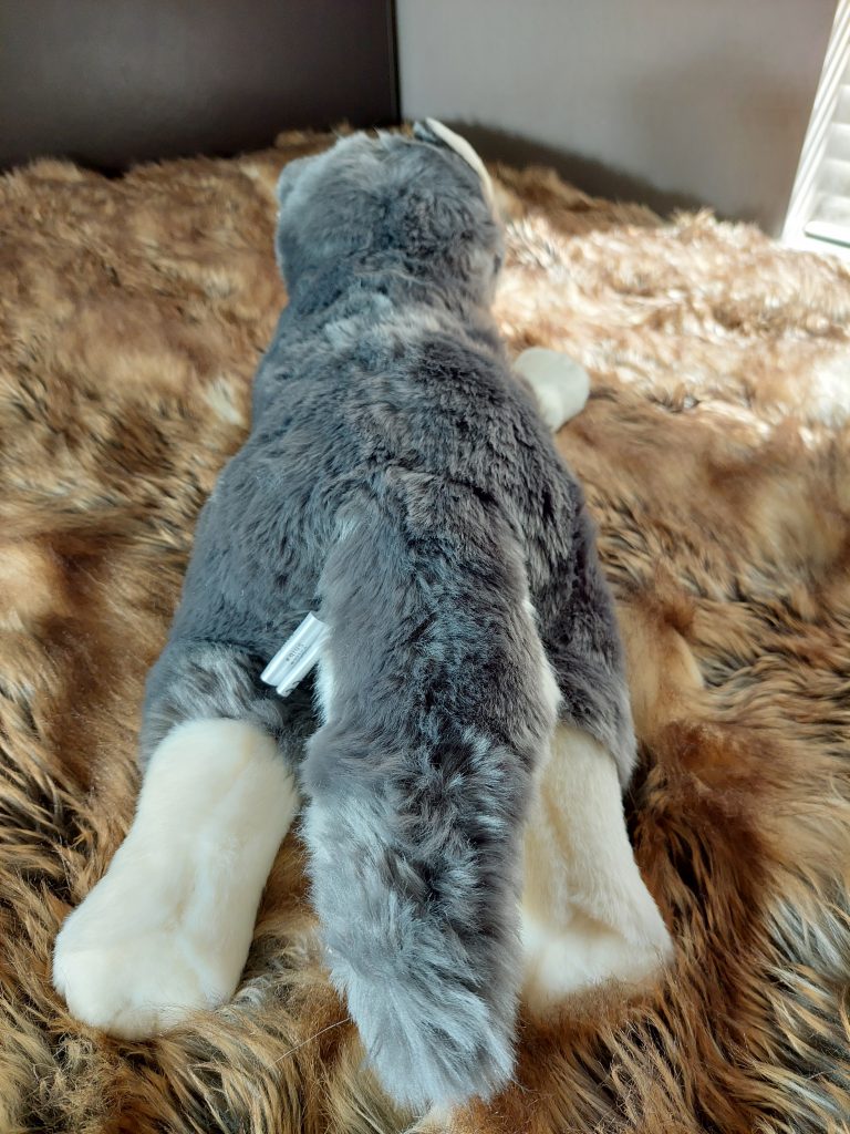 Prime Shiba Wolf (SOLD OUT) – HawtFur.com