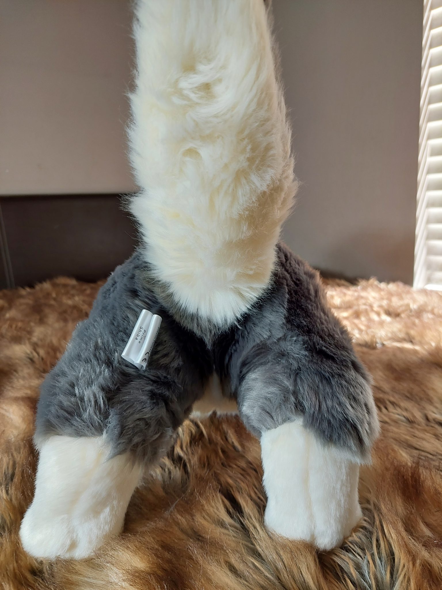 Prime Shiba Wolf (SOLD OUT) – HawtFur.com