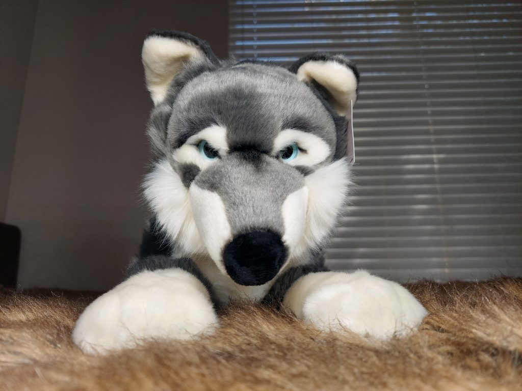 Prime Shiba Wolf (SOLD OUT) – HawtFur.com