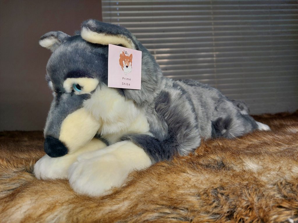 Prime Shiba Wolf (SOLD OUT) – HawtFur.com