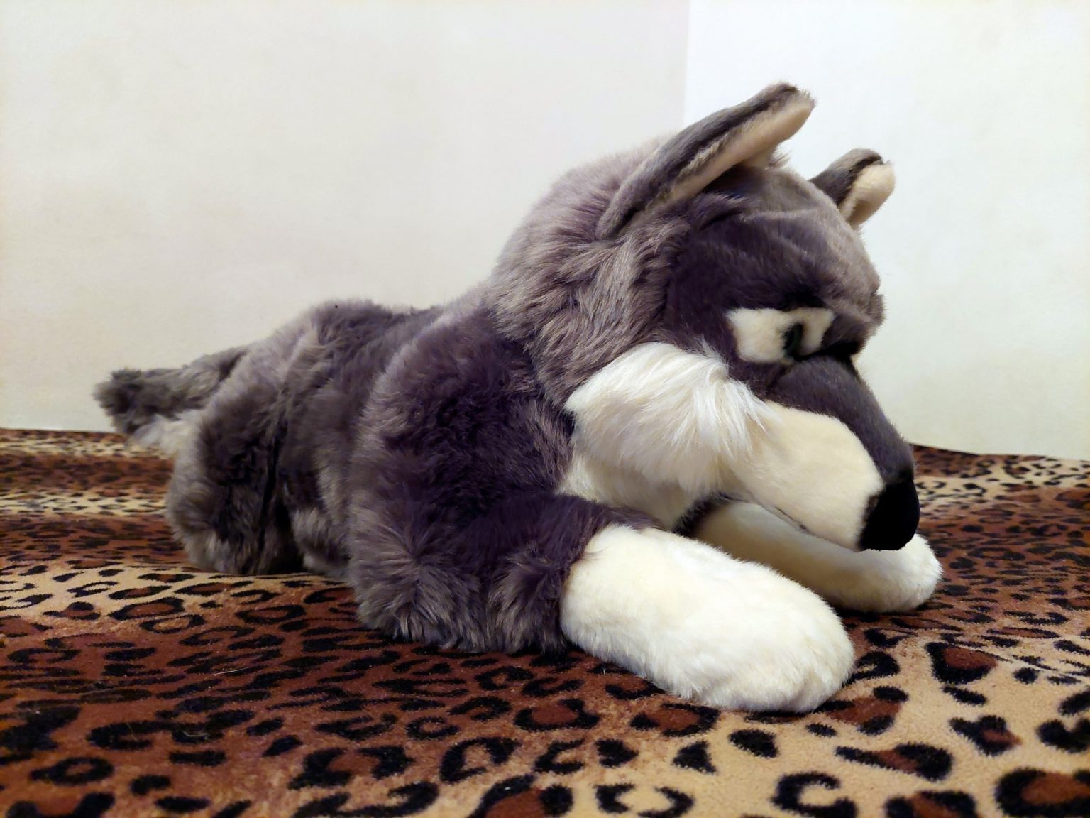 Prime Shiba Wolf (SOLD OUT) – HawtFur.com