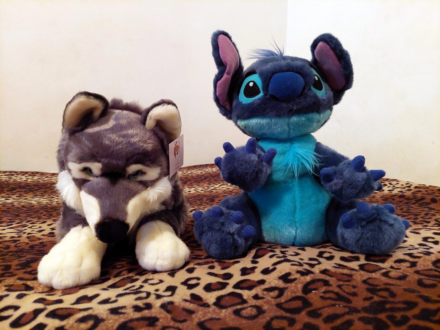 Prime Shiba Wolf (SOLD OUT) – HawtFur.com