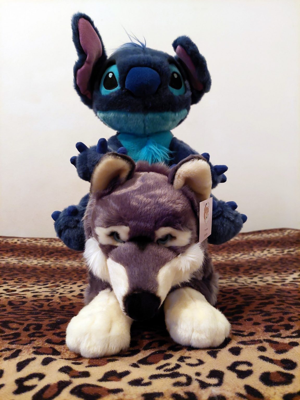 Prime Shiba Wolf (SOLD OUT) – HawtFur.com