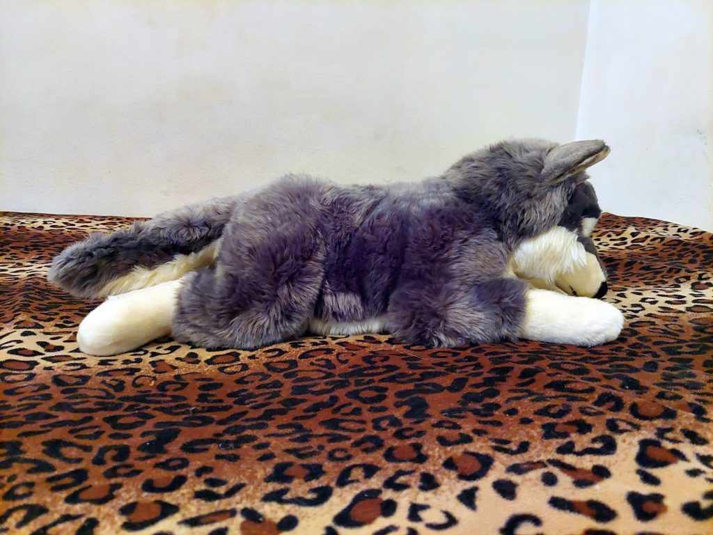 Prime Shiba Wolf (SOLD OUT) – HawtFur.com