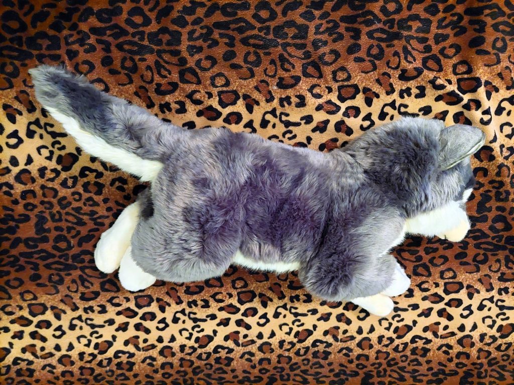 Prime Shiba Wolf (SOLD OUT) – HawtFur.com