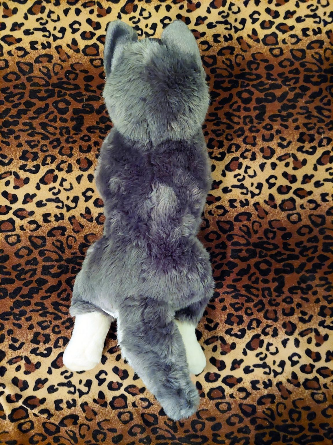 Prime Shiba Wolf (SOLD OUT) – HawtFur.com