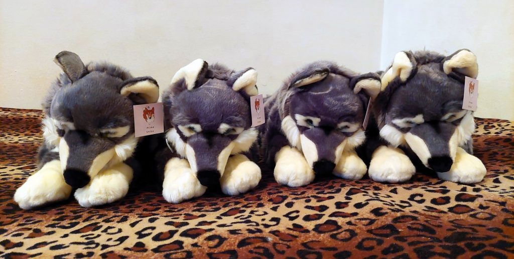 Prime Shiba Wolf (SOLD OUT) – HawtFur.com