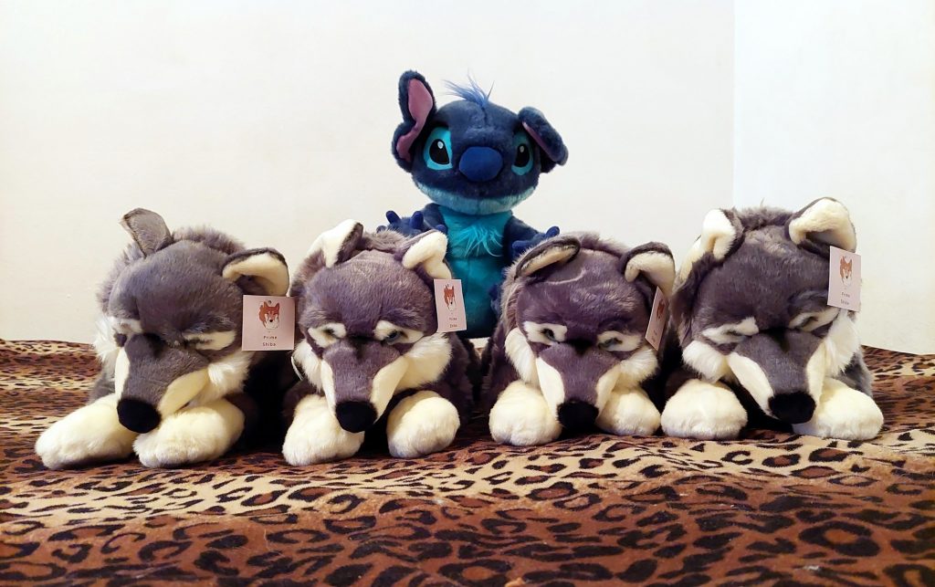 Prime Shiba Wolf (SOLD OUT) – HawtFur.com