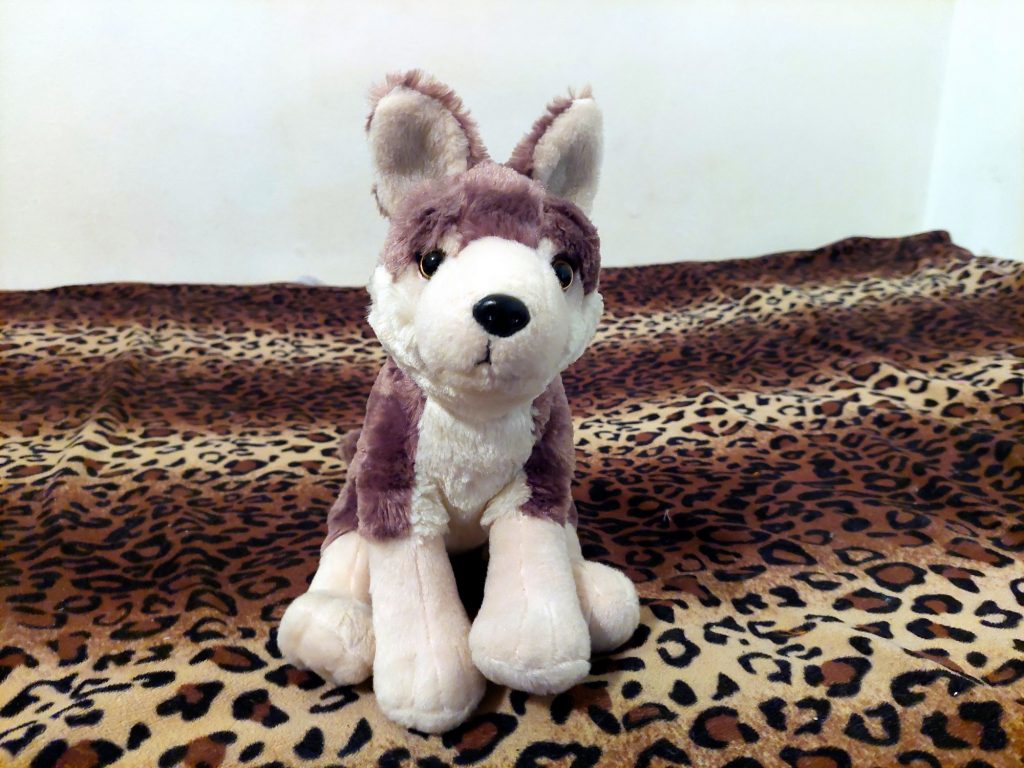 Adventure Planet Wolf Cub (Commission Sold) – HawtFur.com