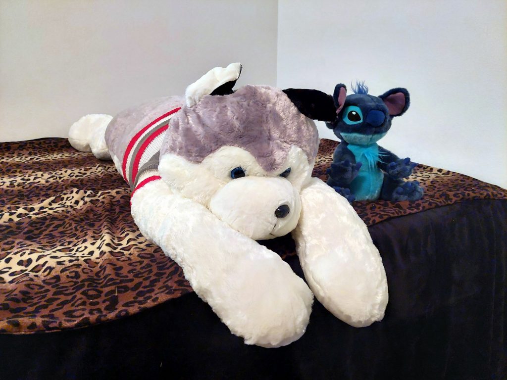 Pangcangshu Nice JUMBO Husky (For Sale) – HawtFur.com