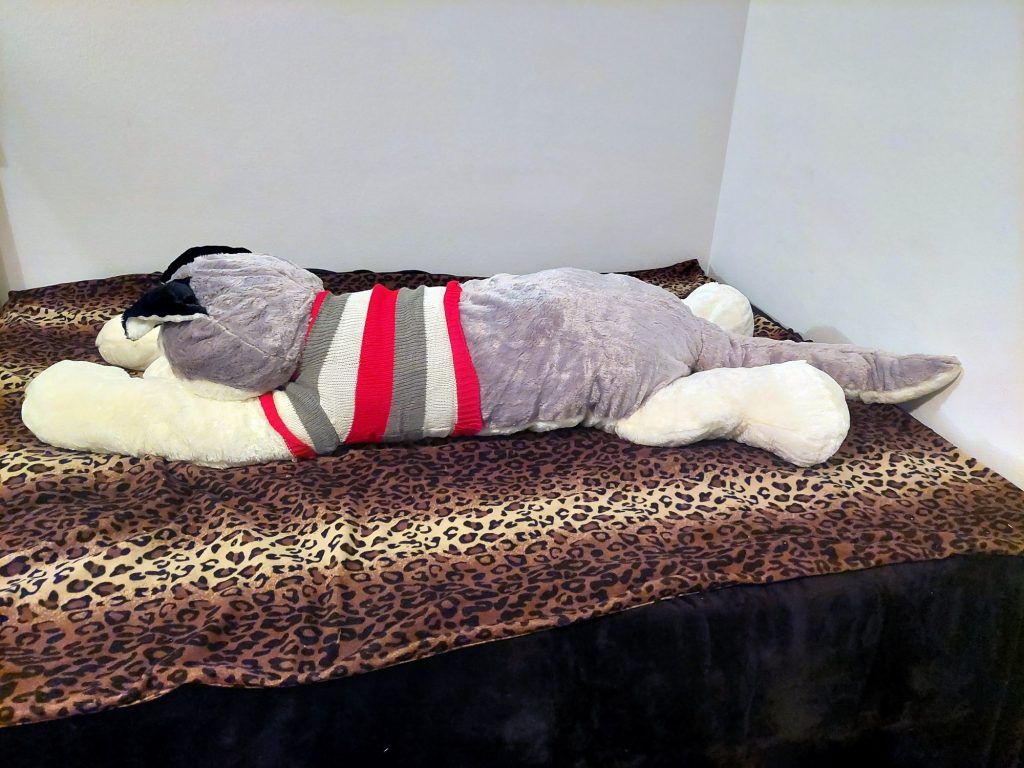 Pangcangshu Nice JUMBO Husky (For Sale) – HawtFur.com